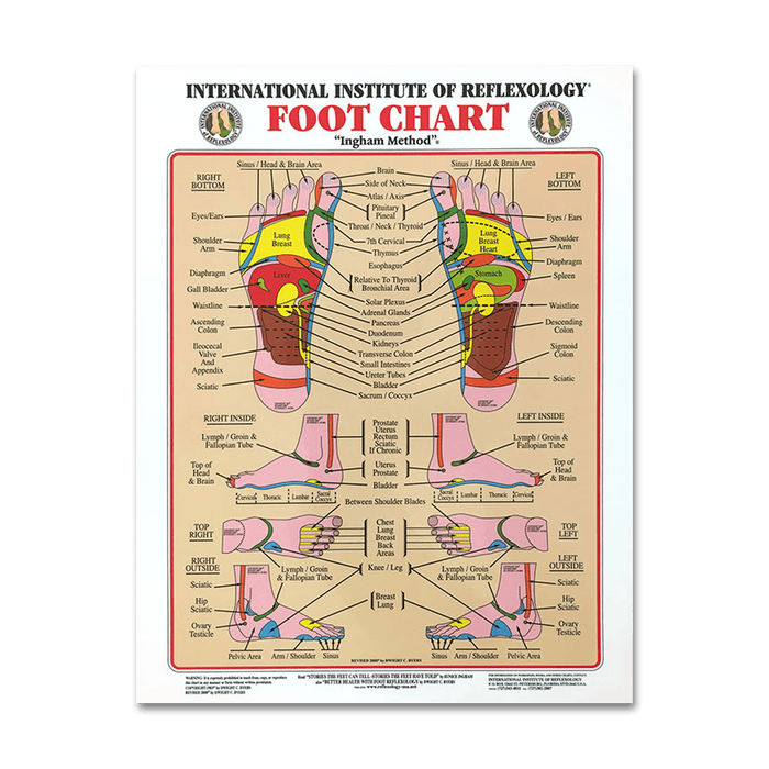 Foot & Hand Chart Set (Small)